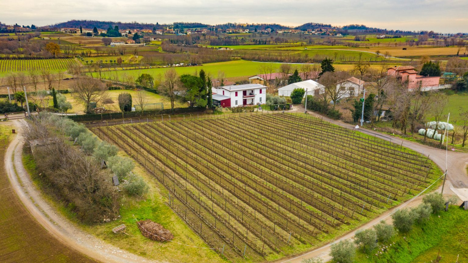Castello Bonomi Tenute in Franciacorta - Franciacorta