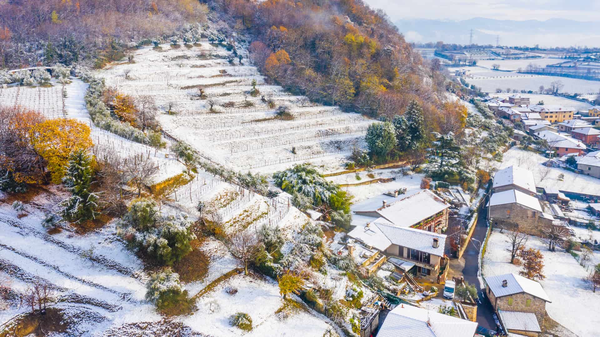 Castello Bonomi Tenute in Franciacorta - Franciacorta