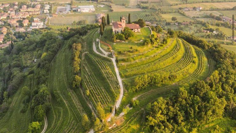 Castello Bonomi Tenute in Franciacorta - Franciacorta