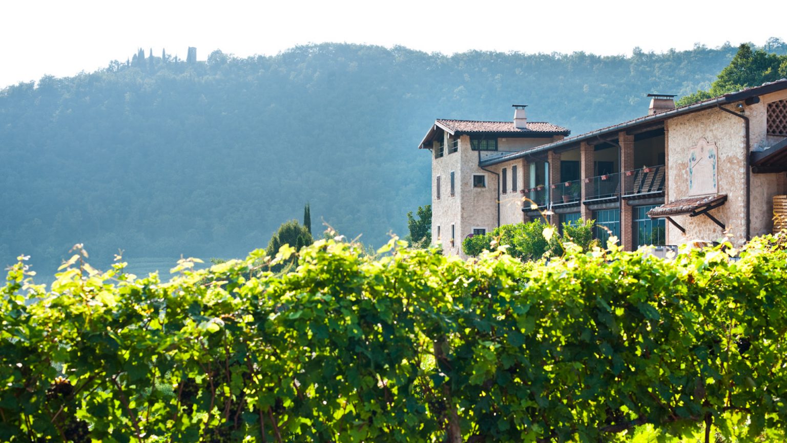 Castello Bonomi Tenute in Franciacorta - Franciacorta