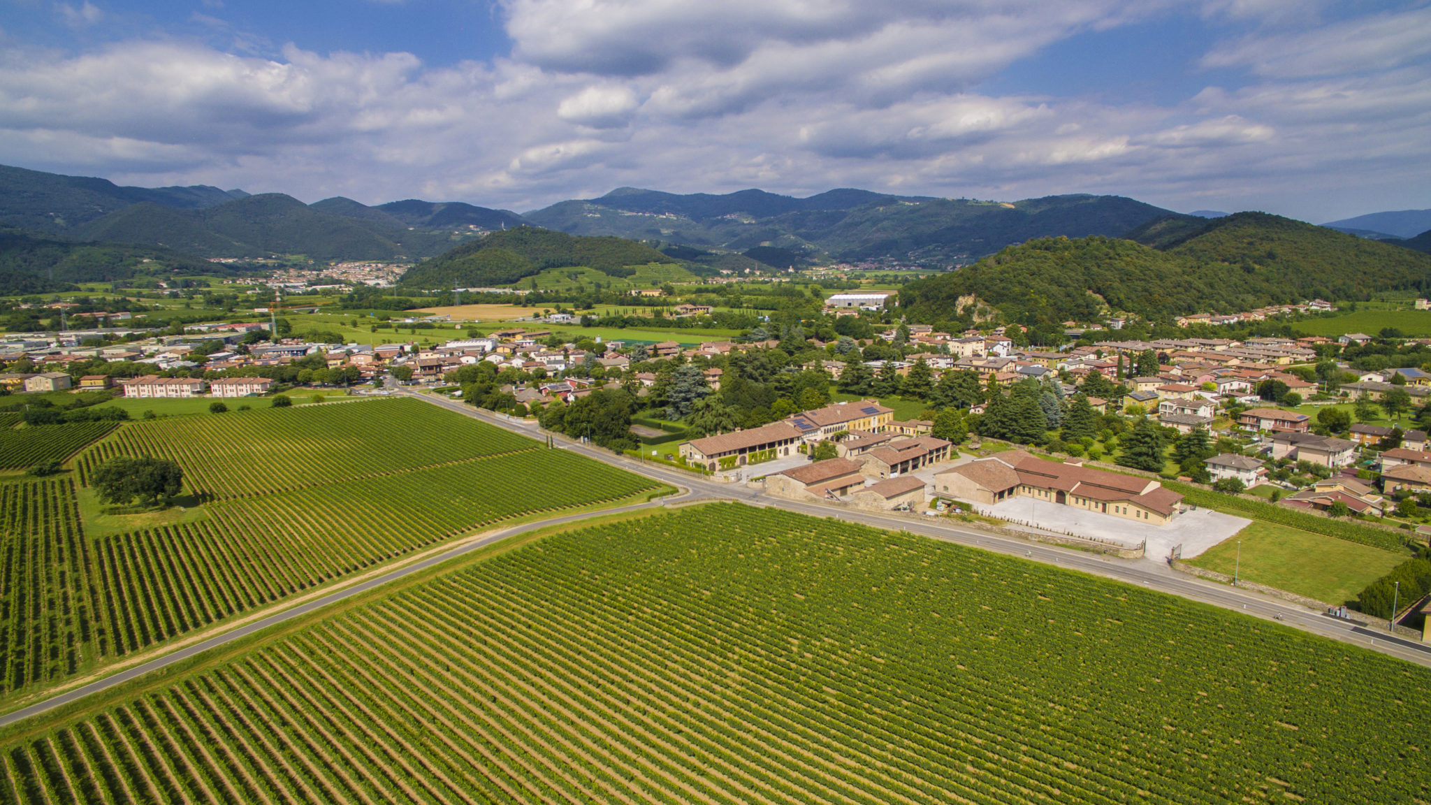 Bosio - Franciacorta