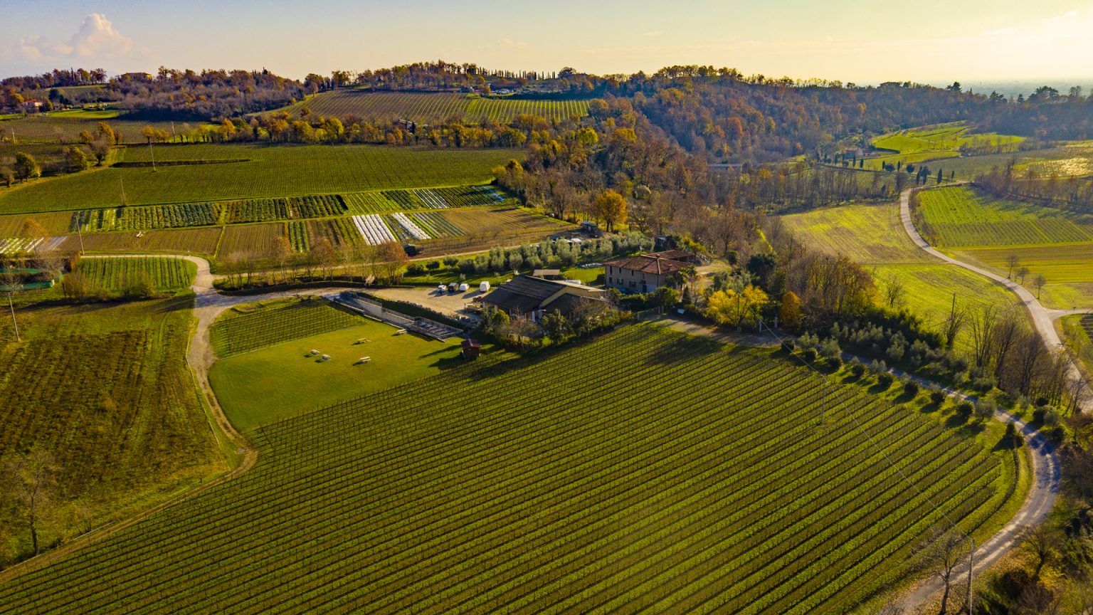 Castello Bonomi Tenute in Franciacorta - Franciacorta