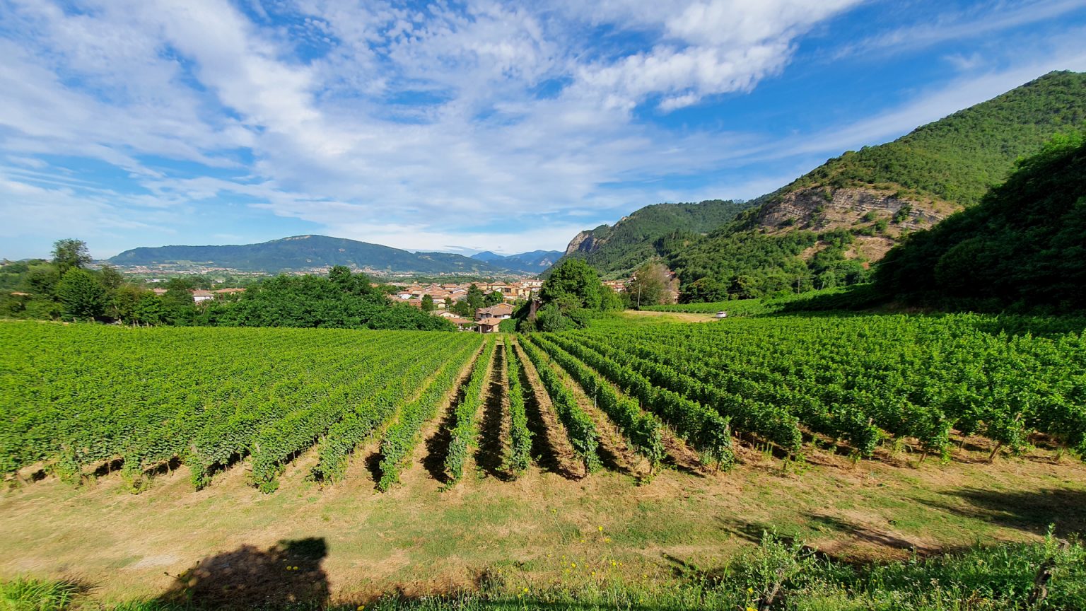 Bosio - Franciacorta