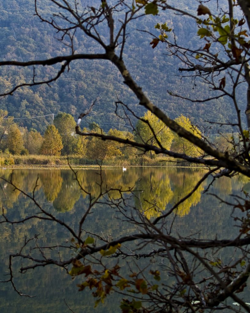 Torbiere del Sebino (Sebino peat bogs) – Franciacorta