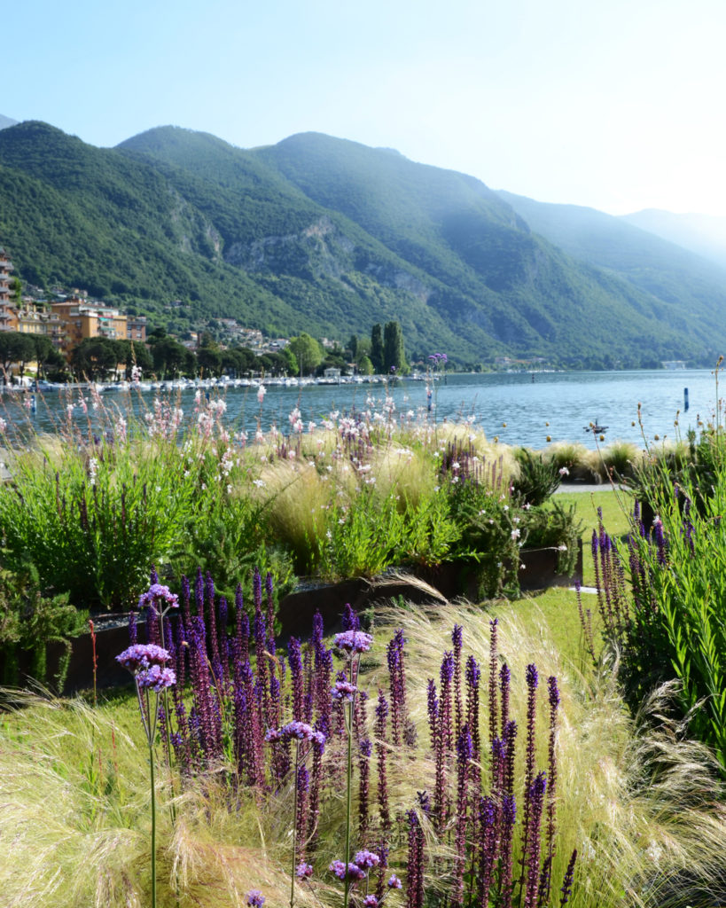 Comune di Paratico – Franciacorta