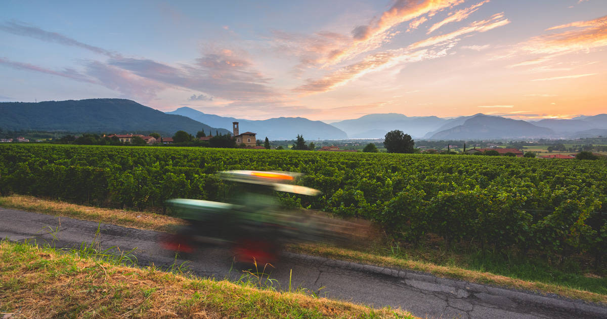 Sustainable defence against pests in franciacorta – Franciacorta