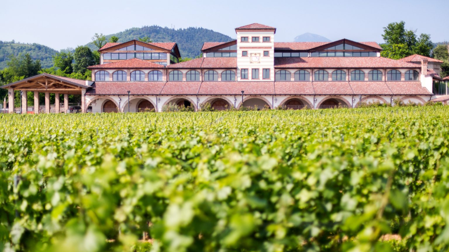 Castello Bonomi Tenute in Franciacorta - Franciacorta