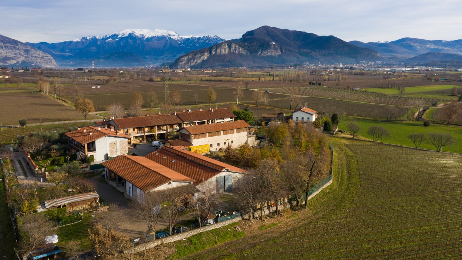 Castello Bonomi Tenute in Franciacorta - Franciacorta