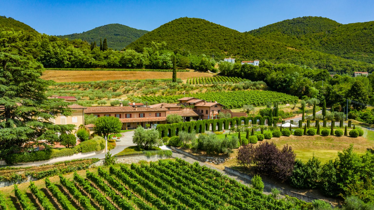 Bosio - Franciacorta