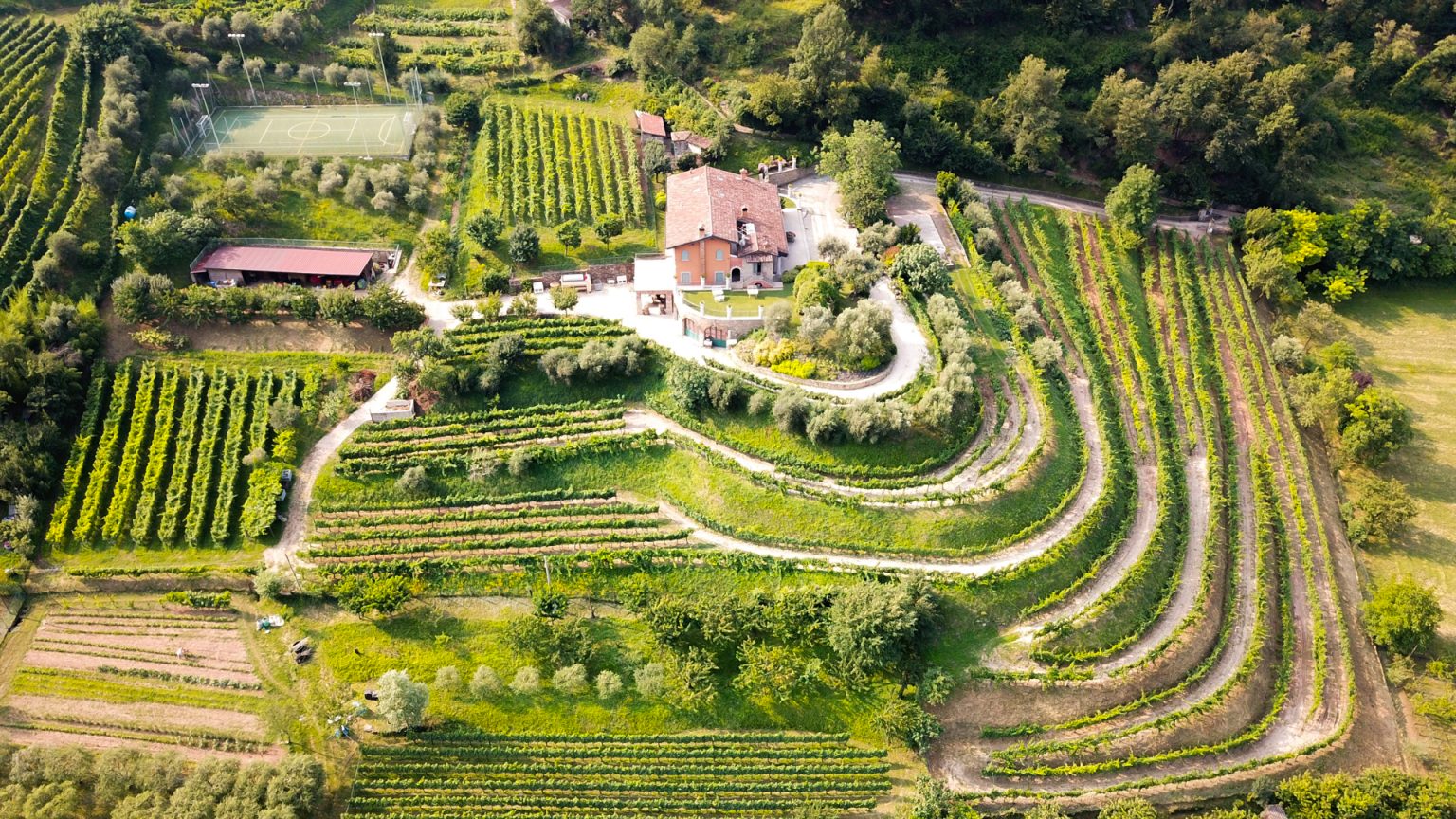 Castello Bonomi Tenute in Franciacorta - Franciacorta