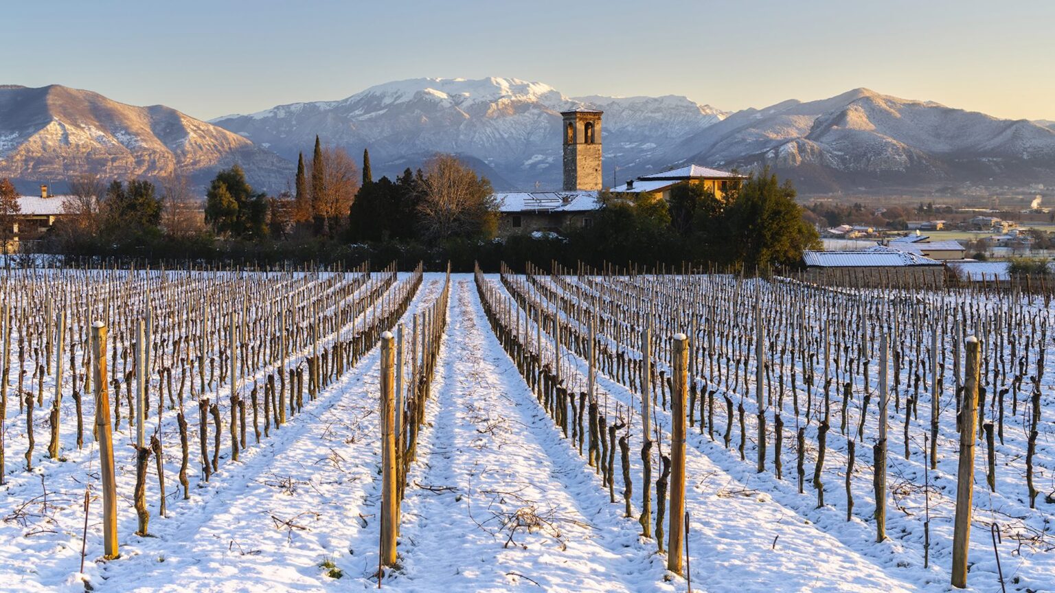 What to Do in Franciacorta - Live the Franciacorta area