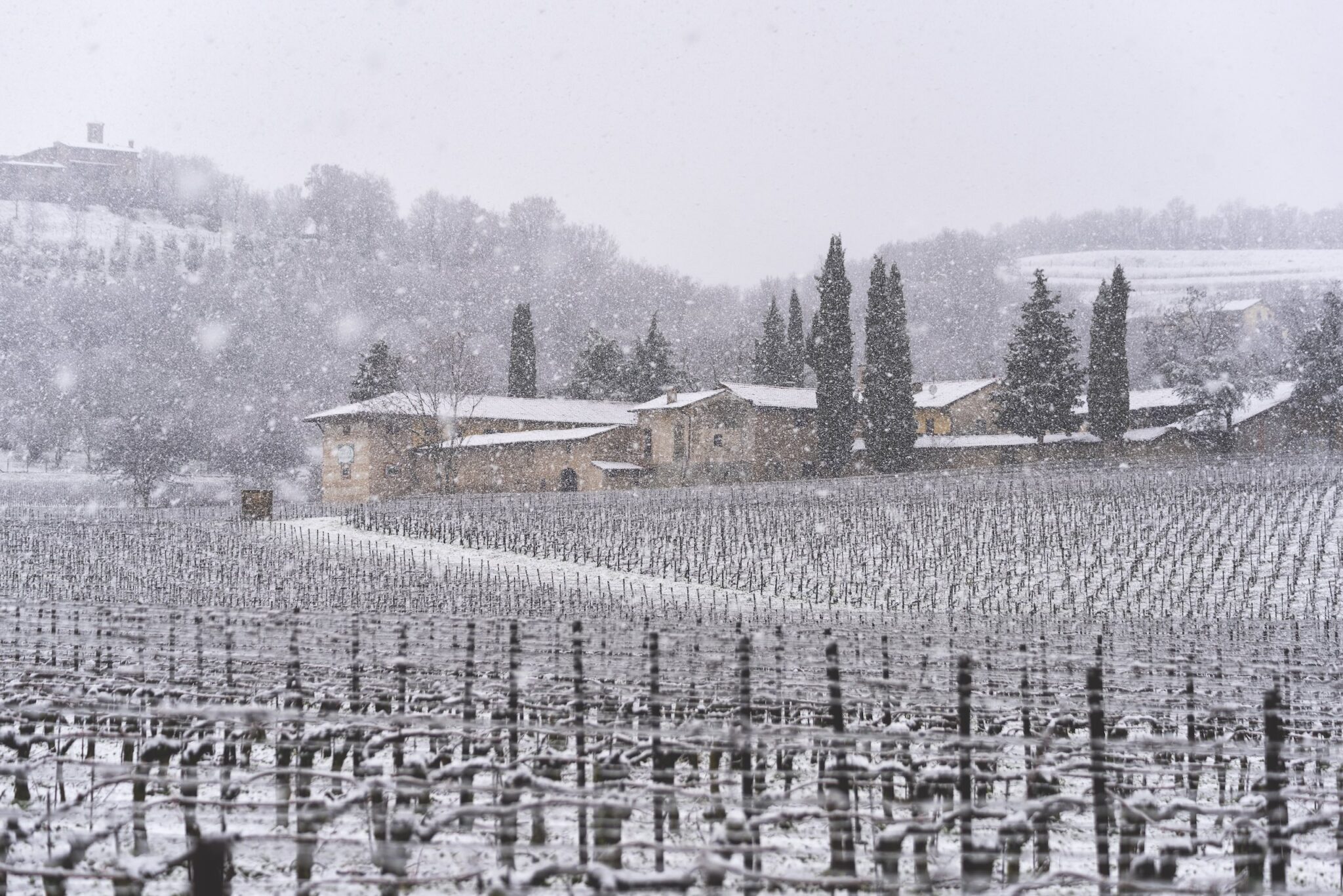 Consorzio per la tutela del Franciacorta, Strada del Franciacorta ...