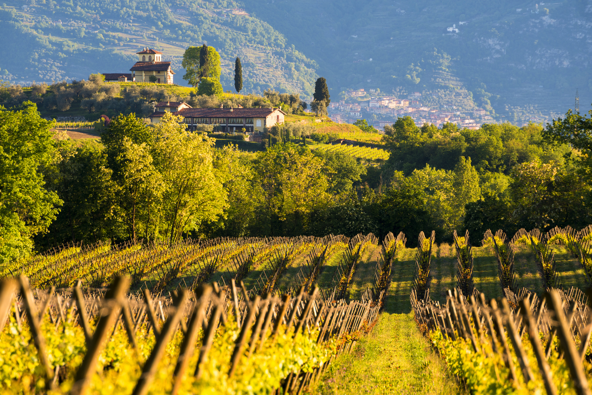 Franciacorta: cosa vedere tra borghi, vigneti e natura - Franciacorta