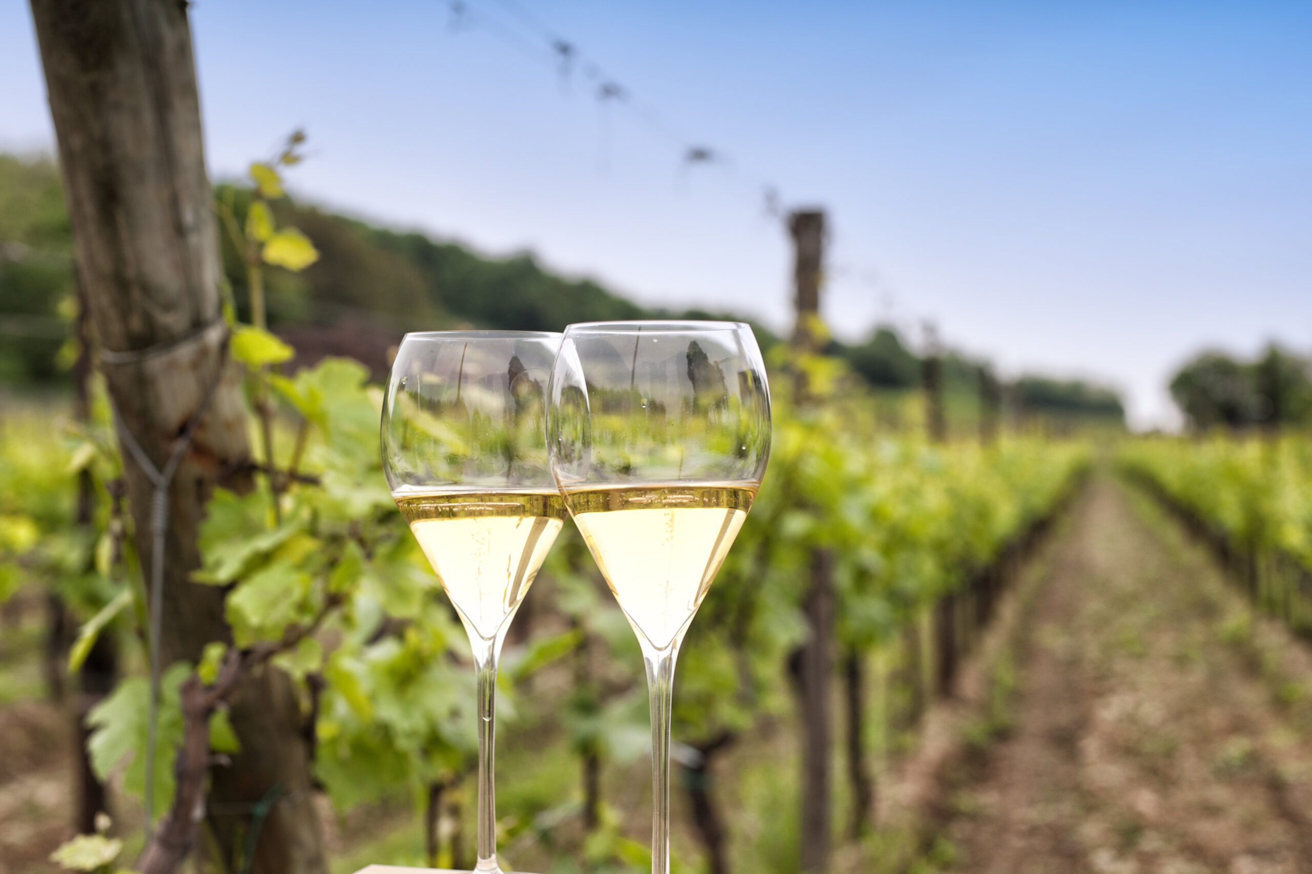 Degusta alla Trattoria Polastri - Franciacorta